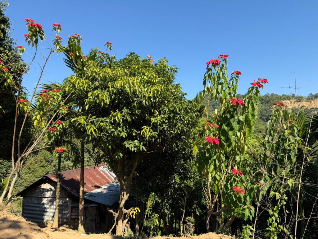 Triple Falls, Dimapur – The Hidden Cascade of Nagaland – Anuj Tikku